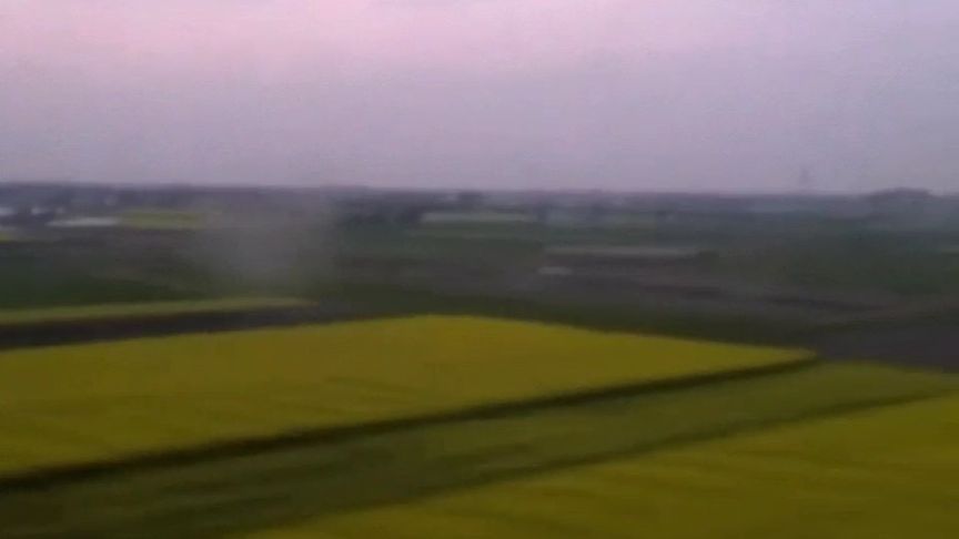 欣赏完绍兴美丽的樱花后,体验“甬绍城际列车”回宁波,满眼春光