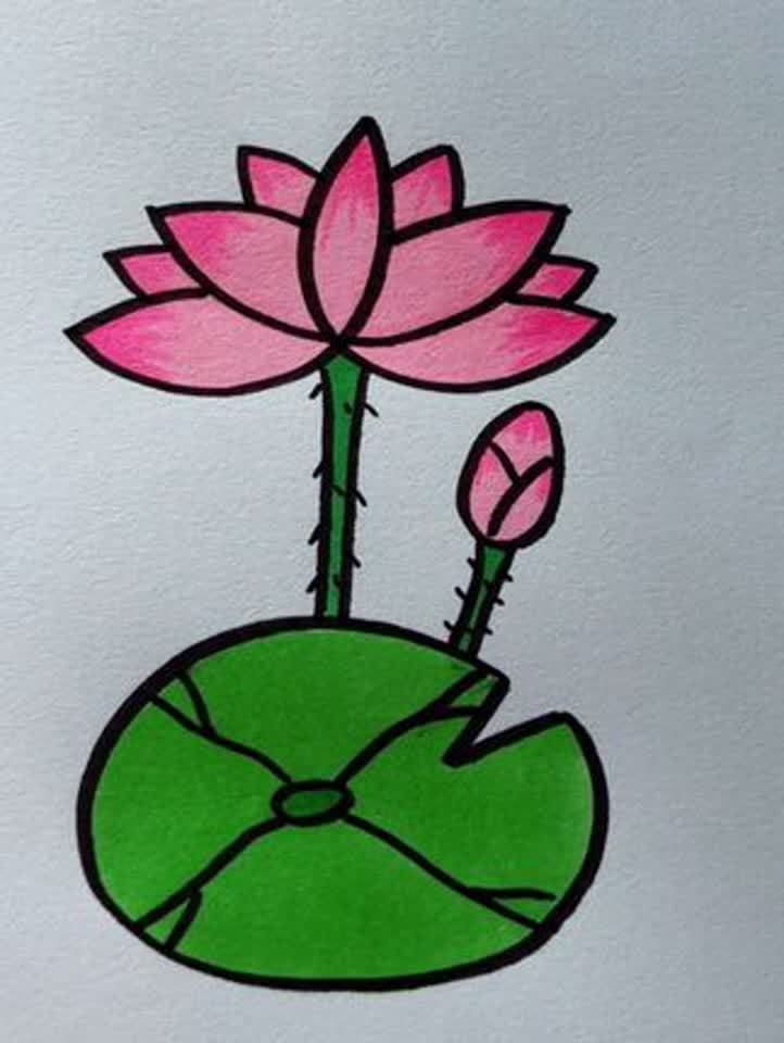 简笔画荷花#儿童简笔画教程 #一起学画画 #亲子简笔画