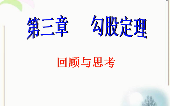 第三章勾股定理第四节:复习课件