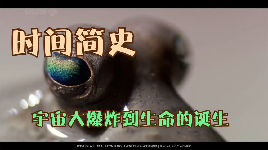 时间简史 从宇宙大爆炸到生命的诞生