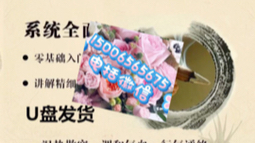 中医艾灸视频U盘穴位疗法教学悬炙针炙教程全集减肥养生零基础U盘