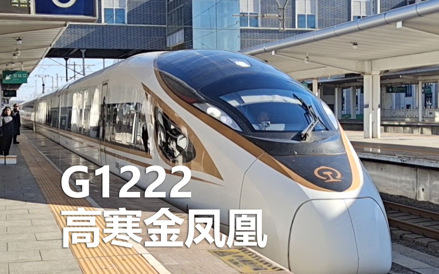 高寒金凤凰 沈局G1222