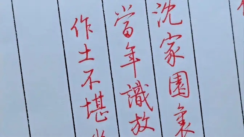 启功体硬笔书法,陆游《春游》:沈家园里花如锦,半是当年识放翁
