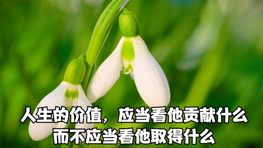 人生的价值,应当看他贡献什么,而不应当看他取得什么