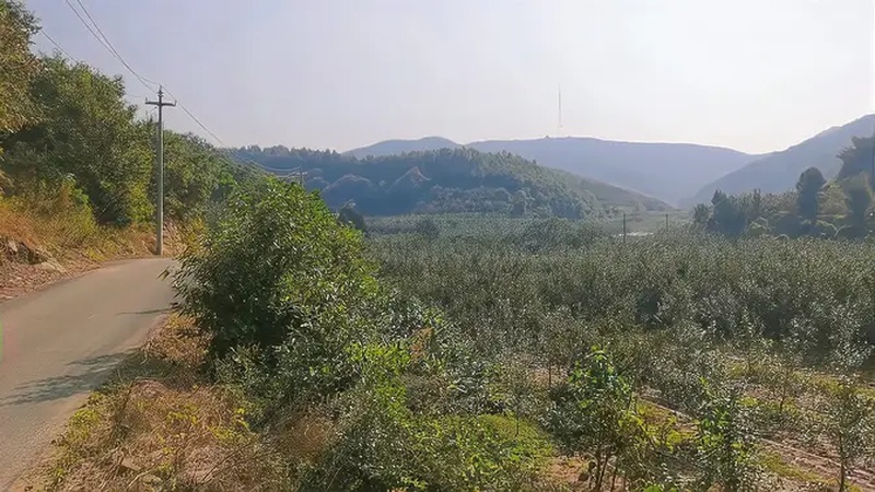 探访栖霞市的庙顶山,海拔599.2米,山顶建有电视信号发射塔