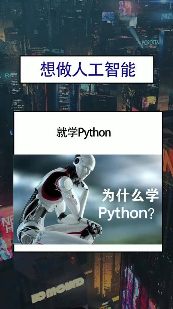 条件判断,逻辑分支的智慧