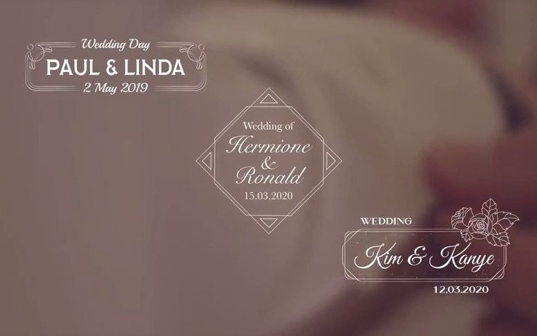 达芬奇模板-50种浪漫小清新婚礼文字标题动画