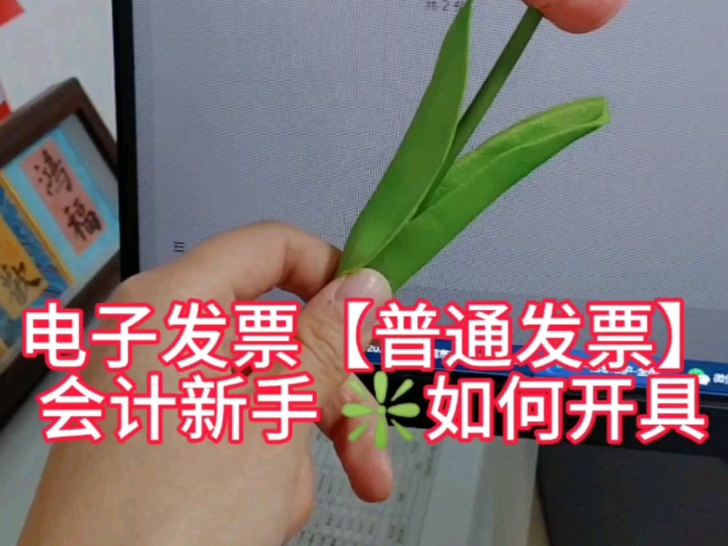 电子发票普通发票如何开具