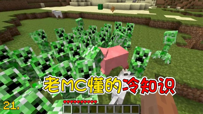 我的世界:那些老玩家才知道的冷知识,剑原来还可以格挡!
