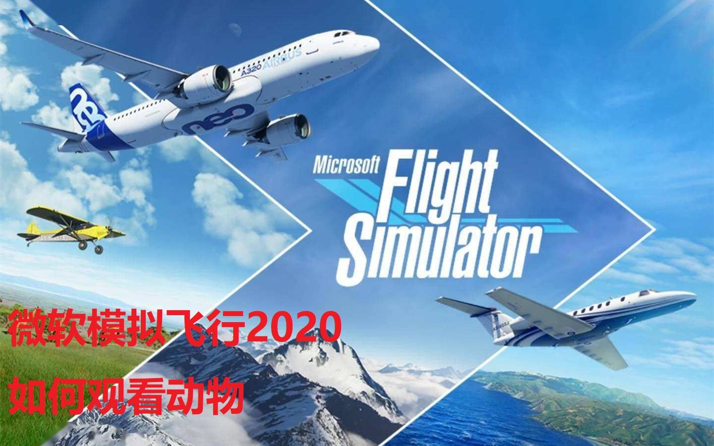 教你如何在微软模拟飞行2020寻找观看动物