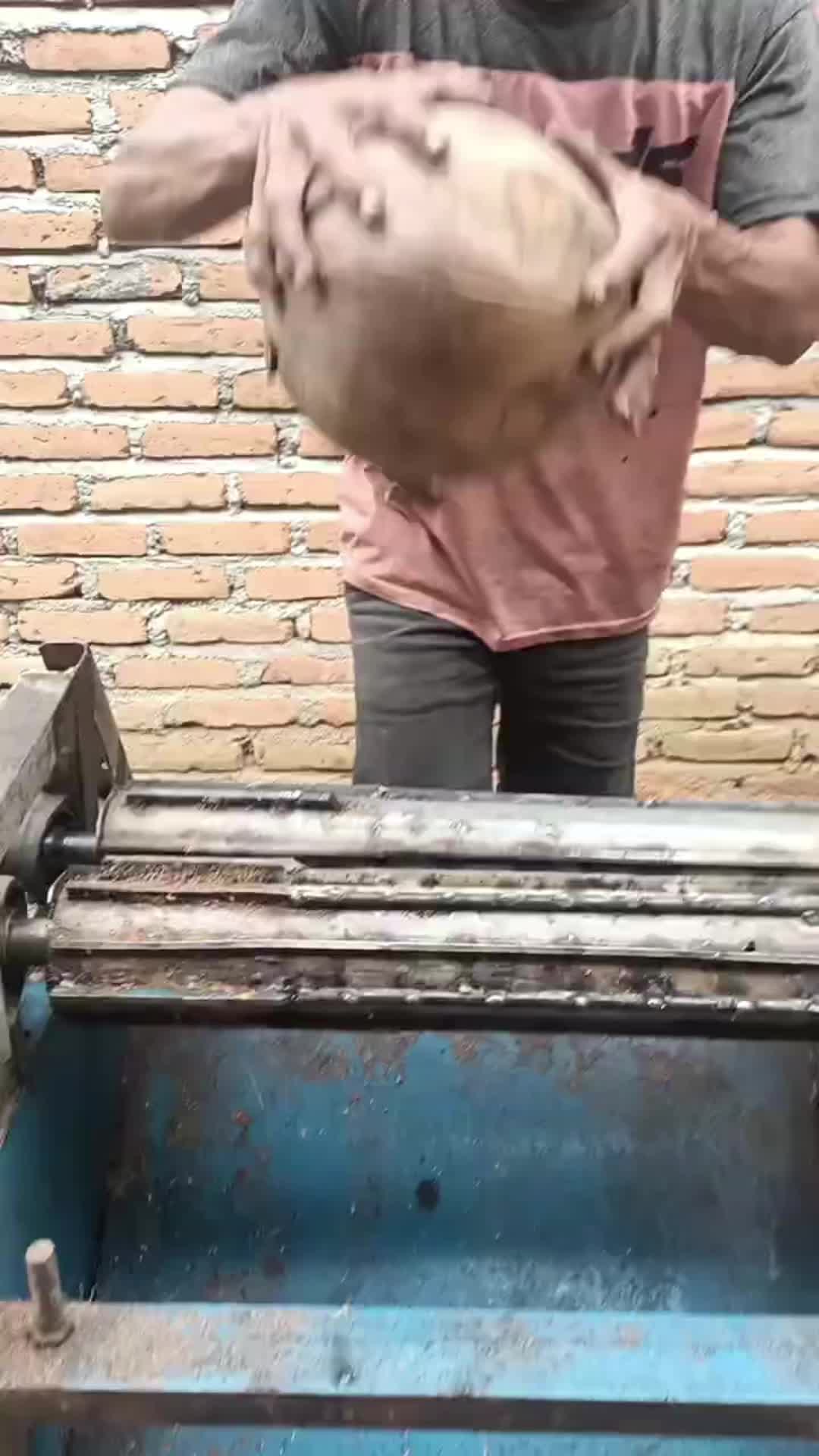 机器剥椰子,危险动作请勿模仿#国外视频分享 #椰子