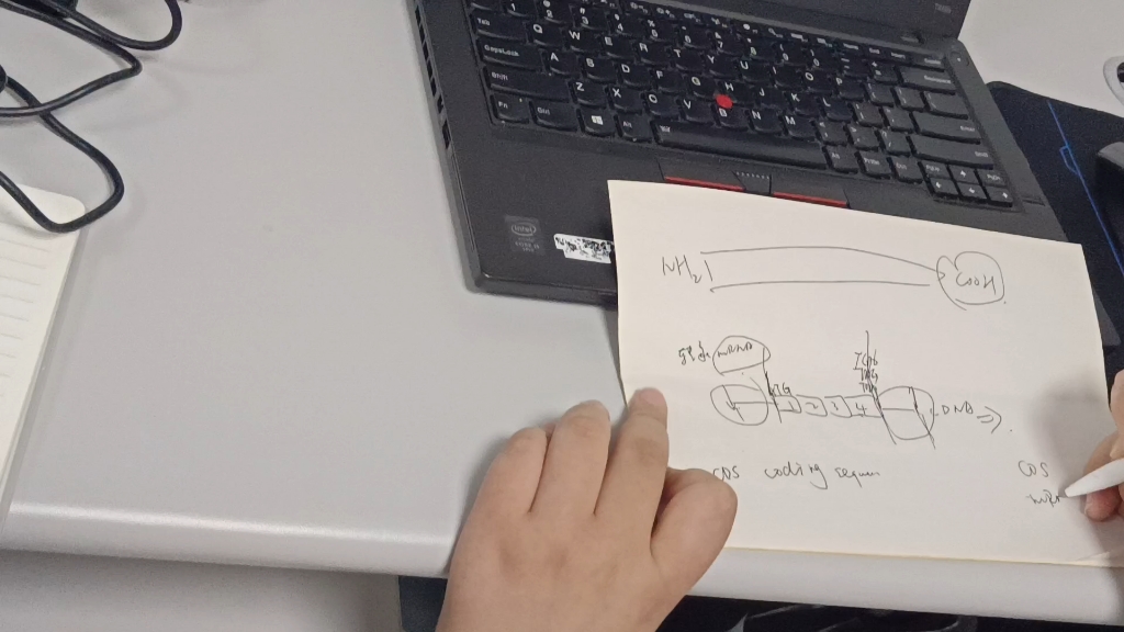 医学生 遗传 qpcr 引物设计