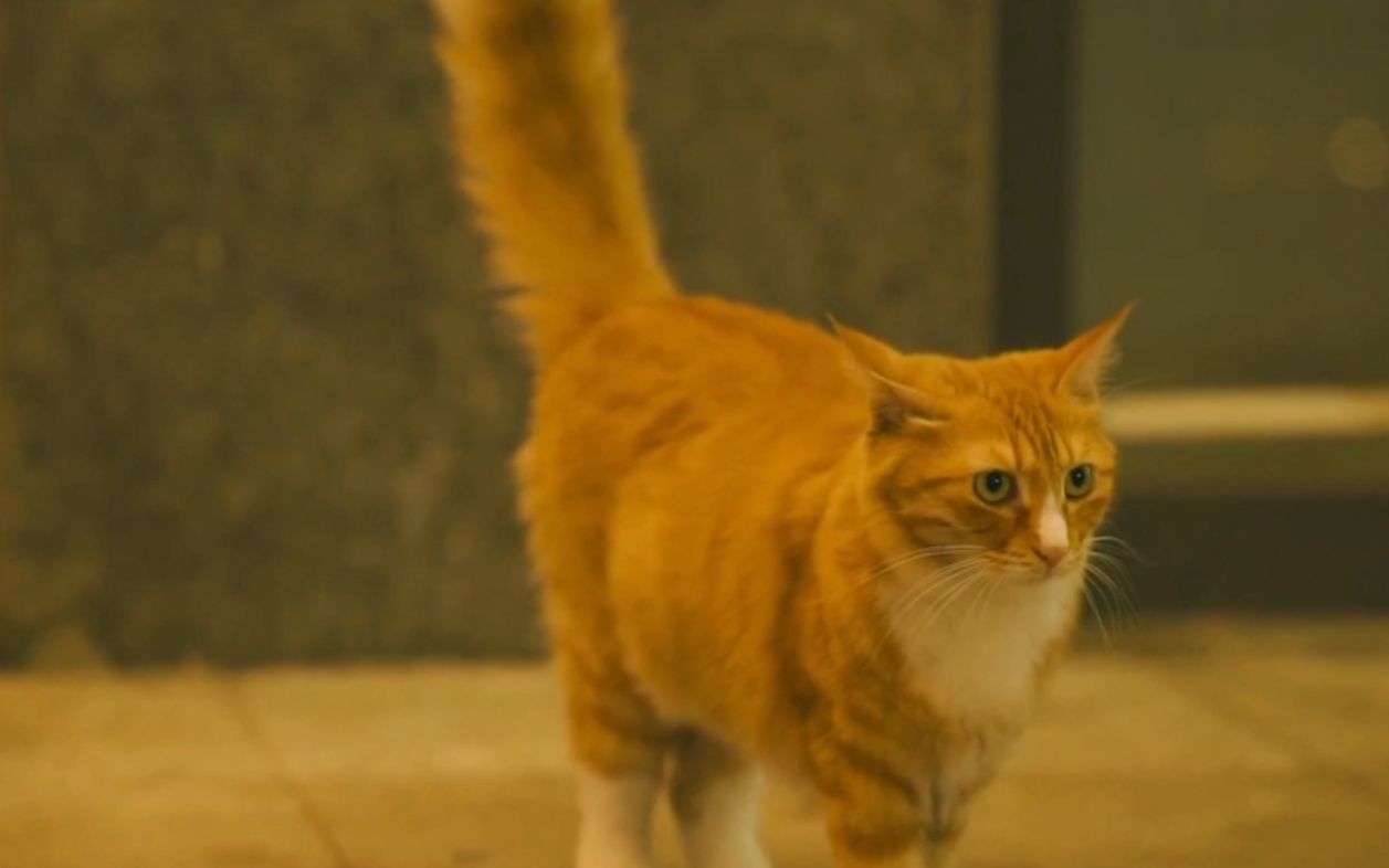 有个数学符号,叫"∞"无限大,你问我,为什么那么旧不换掉,因为,它在我...