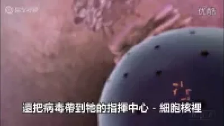 病毒如何在人体内繁殖?动画解释病毒如何复制出百万大军 (中文字幕)