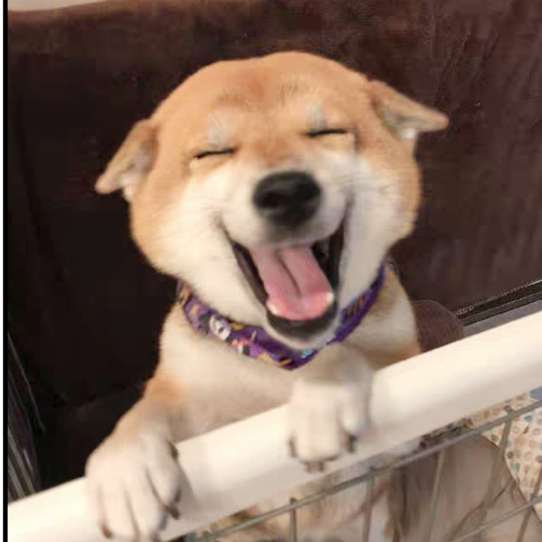 什么什么慷 