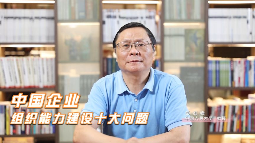 中国企业组织能力建设十大问题