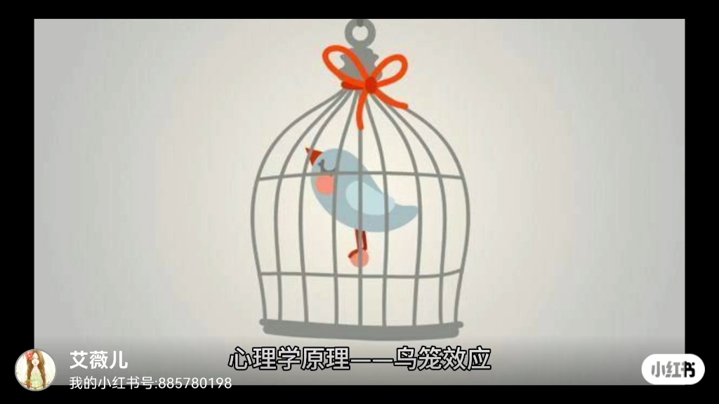 心理学原理——鸟笼效应