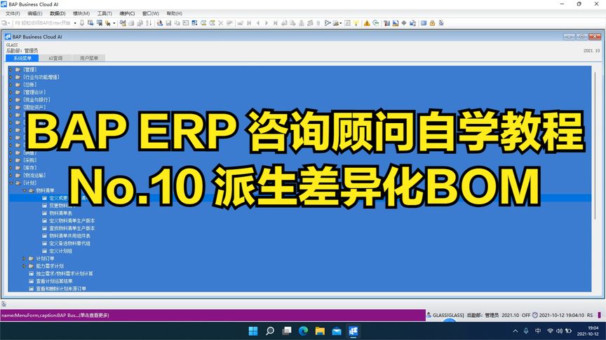 BAP ERP 咨询顾问自学教程No.10 派生差异化BOM