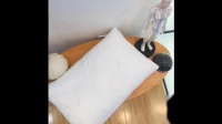 抗菌防螨羽丝绒枕.mp4