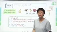   师遇名师课 系动词的变化