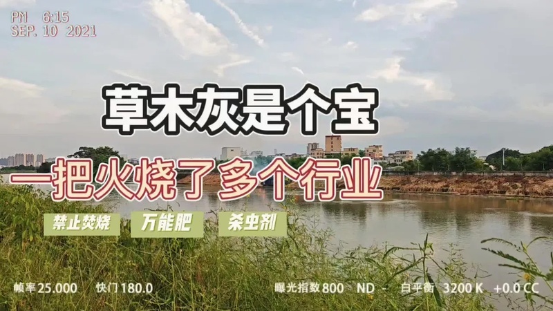 一把火烧掉多个行业,用行动保护生态环境,让大地回归健康