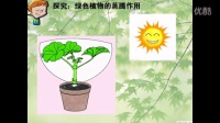 植物蒸腾作用微课