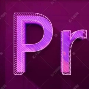 pr安装包 
