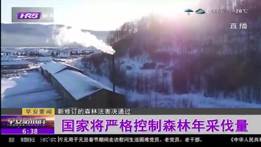 森林还让砍伐吗,怎么砍才是合法的?为你解读新修订的森林法!