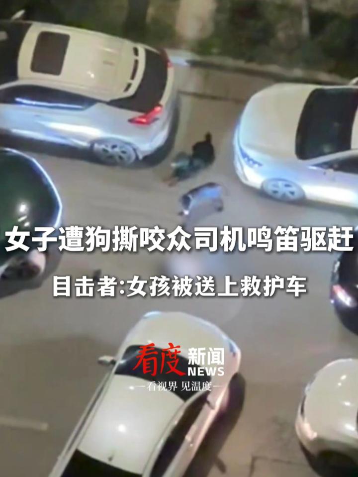 11月30日,#女子遭狗撕咬众司机鸣笛驱赶 ,目击者:女孩被送上救护车