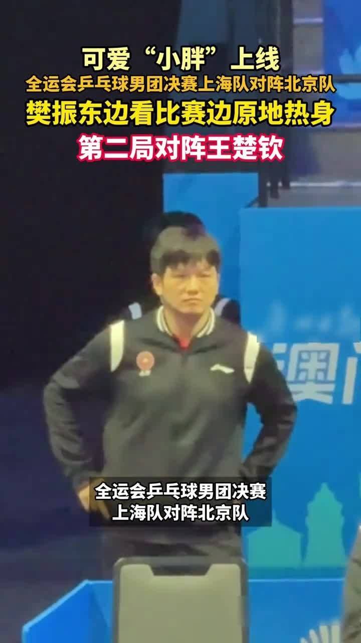 可爱"小胖"上线!全运会乒乓球男团决赛,樊振东边看比赛边原地热身,...