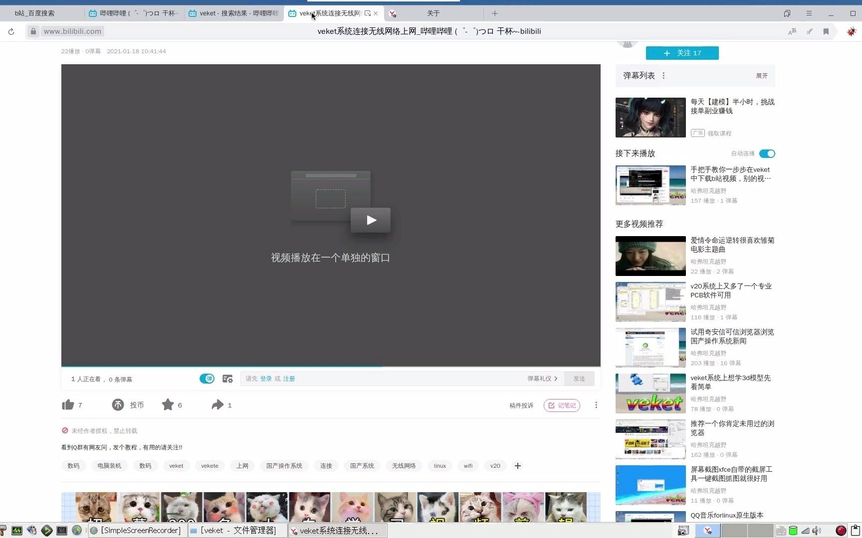 安装体验Yandex浏览器最新版本