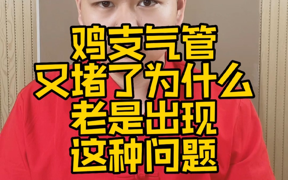鸡支气管堵塞怎么引起的小鸡支气管堵塞是什么症状肉鸡气管栓塞是...