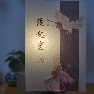 张家的起灵 