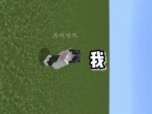 我的世界 网易版首日开服,玩家们嗨翻天!