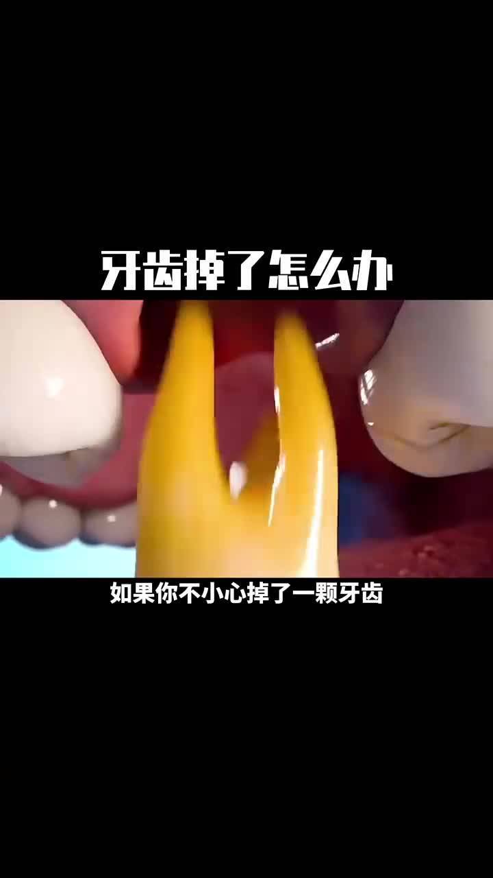 牙齿掉了应该怎么办?
