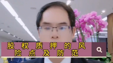 股权质押的风险点及防范