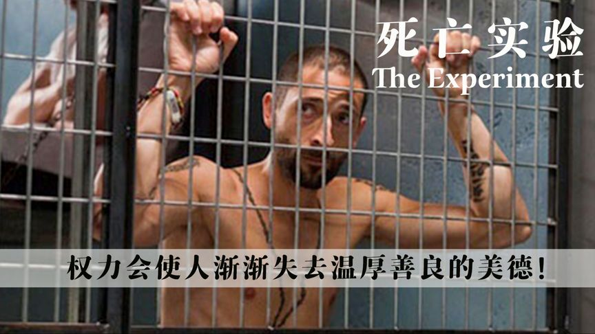 7分钟看完《死亡实验》24人被关进监狱,可获得一千美金!