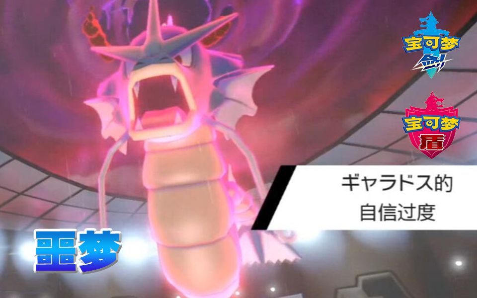 【宝可梦剑盾】命玉暴鲤龙老师【S3单打#6】