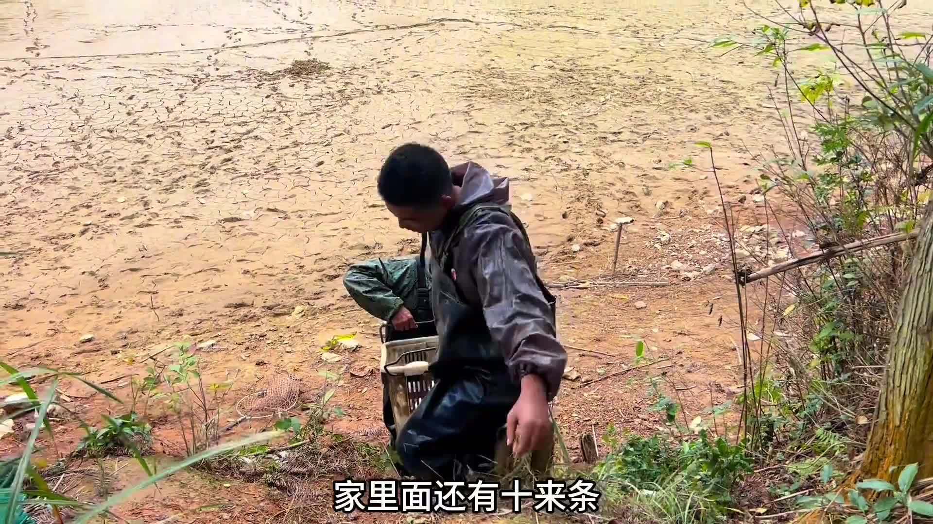 ...卖鱼第15天,今天的销量直接破新纪录了,看看卖了多少钱新农人计划...