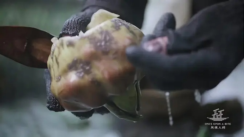 水中人参鸡头米!一年只能摘一次,不是鸡也不是米!丨风味人间