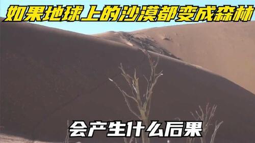 如果地球上的沙漠都变成森林,会产生什么后果?听科学家怎么说