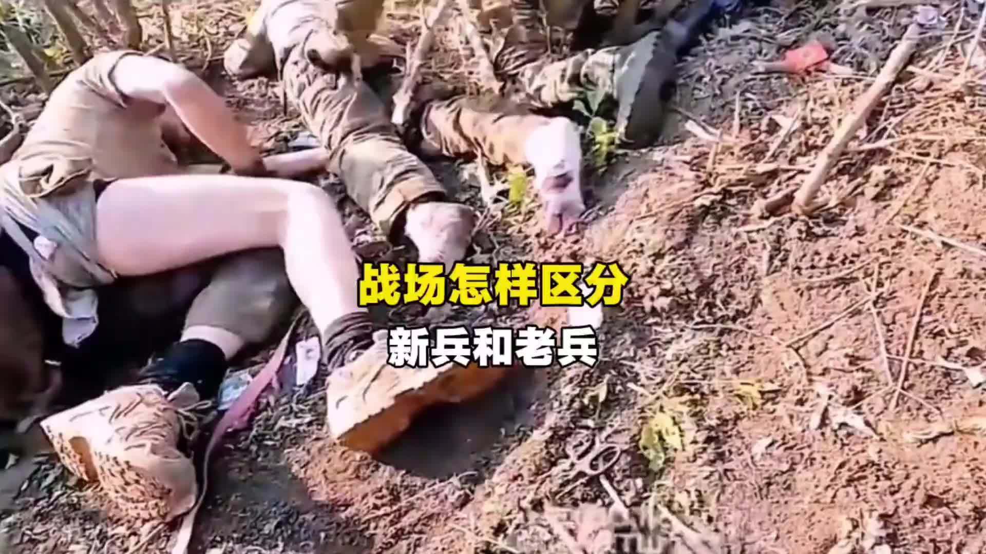 战场上如何一眼分辨是新兵还是老兵? #有趣的知识又增长了 #涨知识 #...