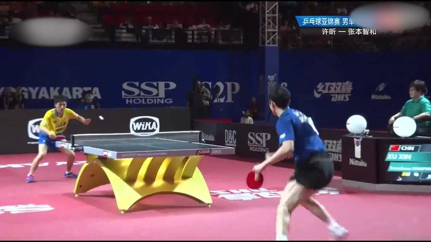 【六杀张本】2019乒乓球亚锦赛男单半决赛,许昕vs张本智和