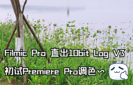 iPhone使用Filmic Pro拍摄10bit LogV3影片并配合Premiere Pro还原...