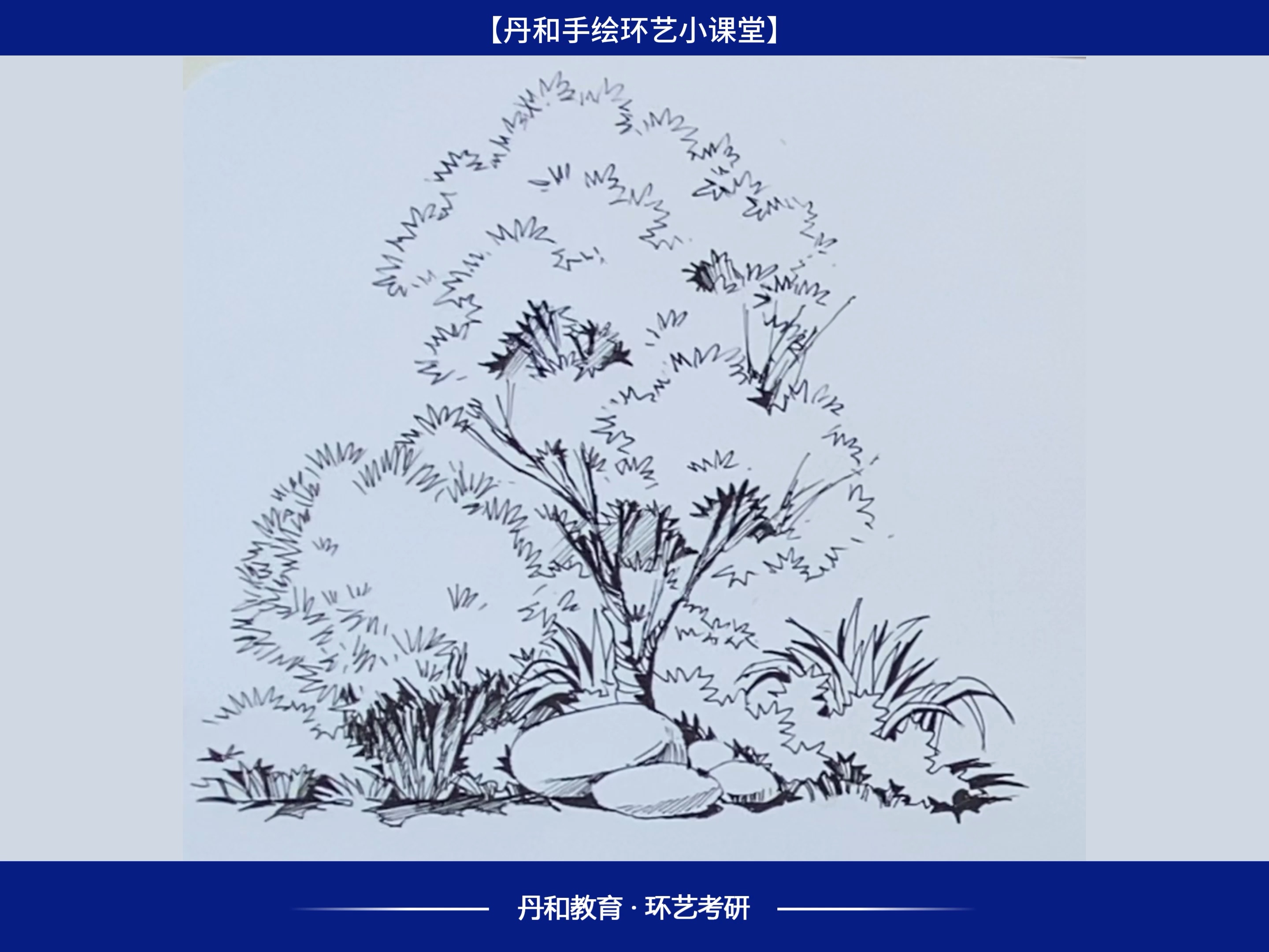 画树!画树!绘画新手入门教程
