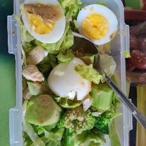 草莓菠萝和酸奶 