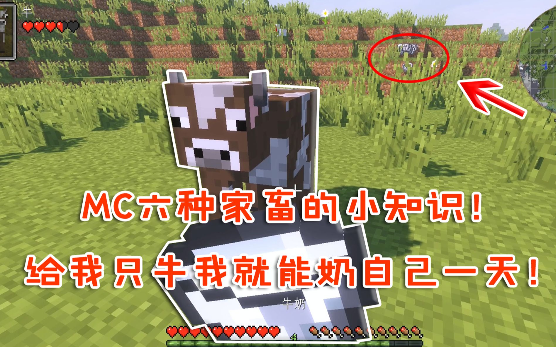我的世界盘点:MC六种家畜的小知识!给我只牛我就能奶自己一天!