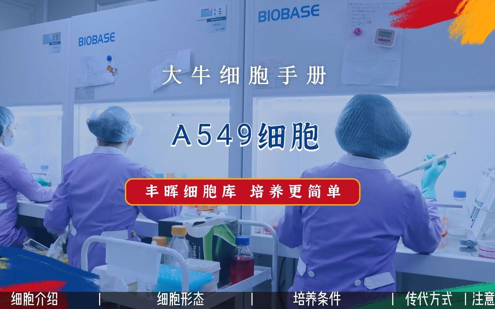 丰晖生物细胞库培养手册——A549细胞培养,人非小细胞肺癌细胞培养...