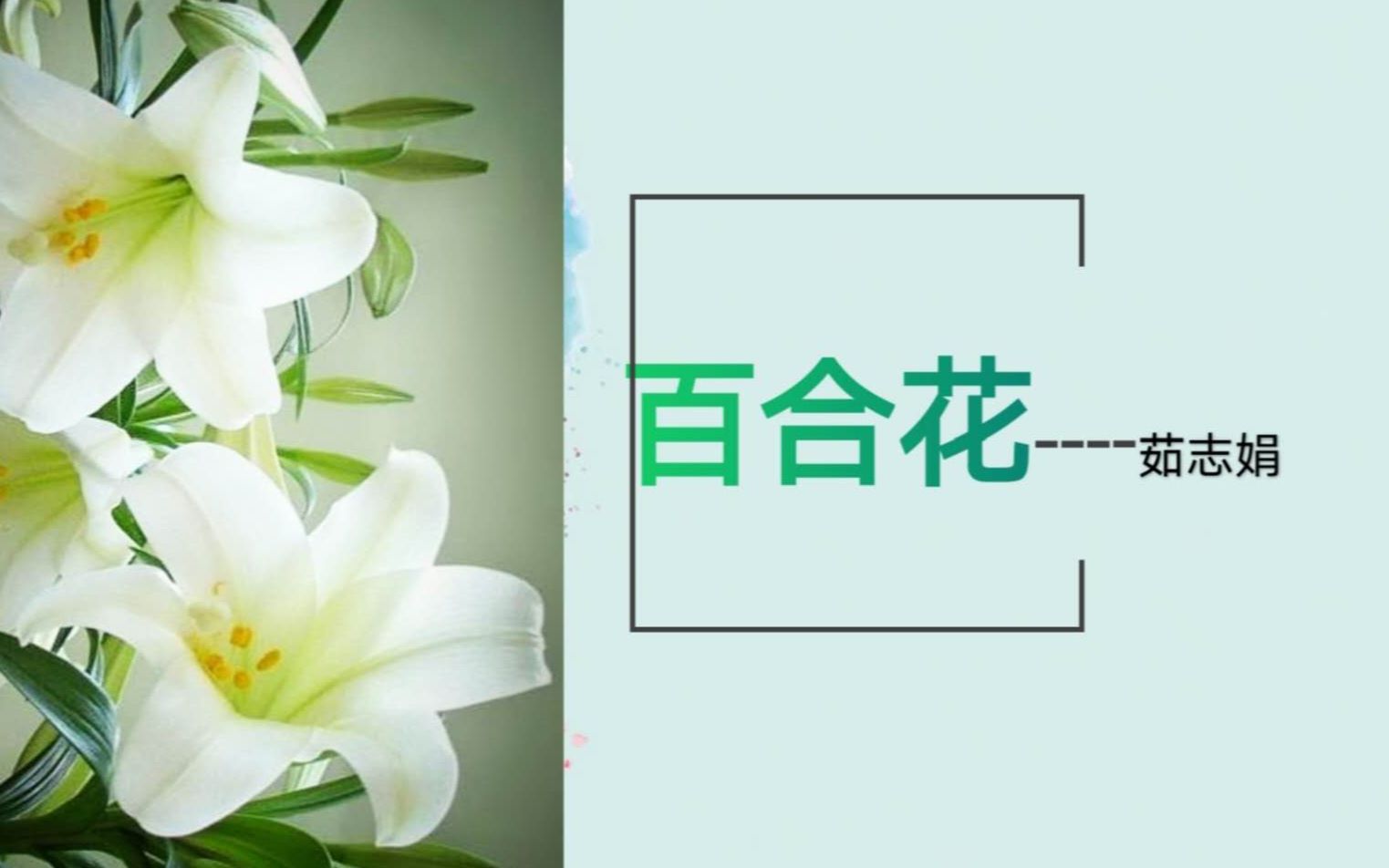 统编版高中语文上册第三课《百合花》
