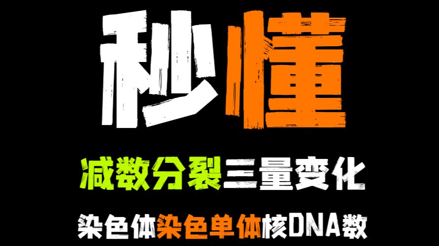3分钟!速通减数分裂染色体染色单体核DNA数目变化 | 高中生物-钱夫子